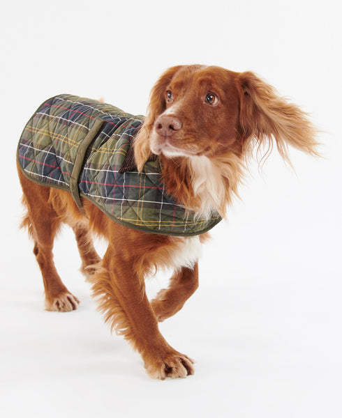 Barbour Tartan Dog Coat - Classic – House of Country